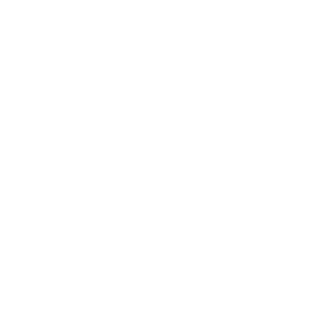 AmericaFirst – AmericaFirstWP