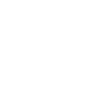 AmericaFirst – AmericaFirstWP