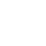 AmericaFirst – AmericaFirstWP