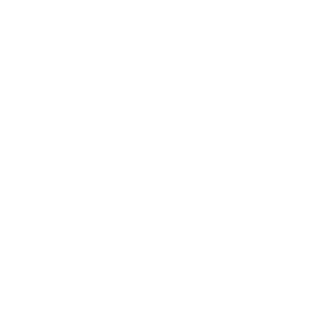 AmericaFirst – AmericaFirstWP