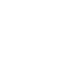 AmericaFirst – AmericaFirstWP